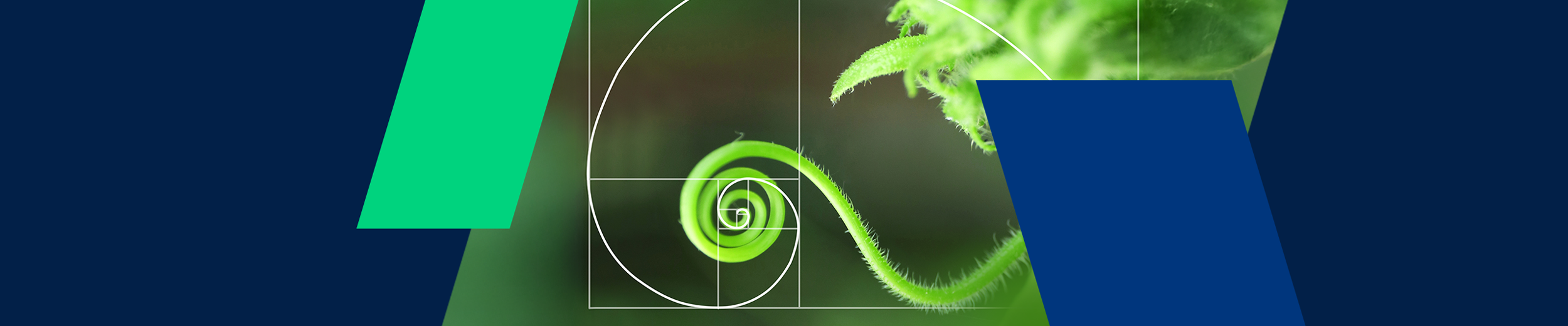 Fibonacci-Retracement: Ein umfassender Leitfaden für Trader | OANDA